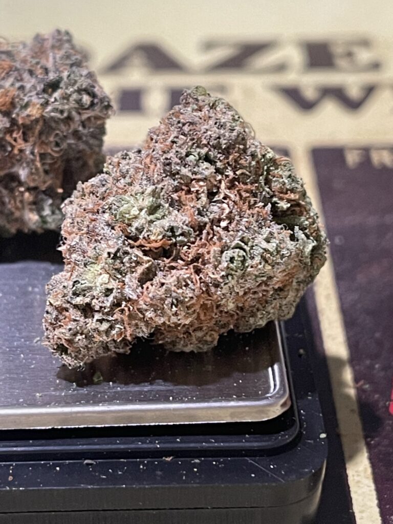 Fish Scale - Green Therapy NYC