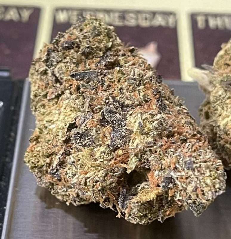 CHERRY GUMBO 3.5g INDICA INDOOR 🔥🔥29%THC - Green Therapy NYC