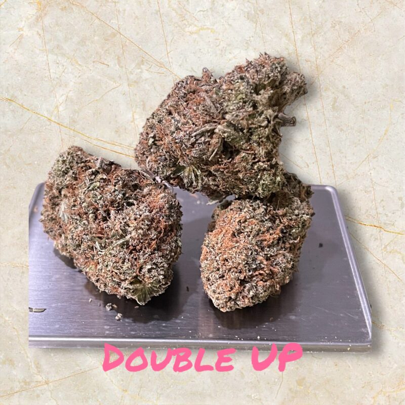 Moroccan Hash Weed Delivery NYC | Green Therapy NYC